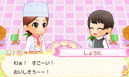 ケーキ屋さん物語 おいしいスイーツをつくろう! - 3DS