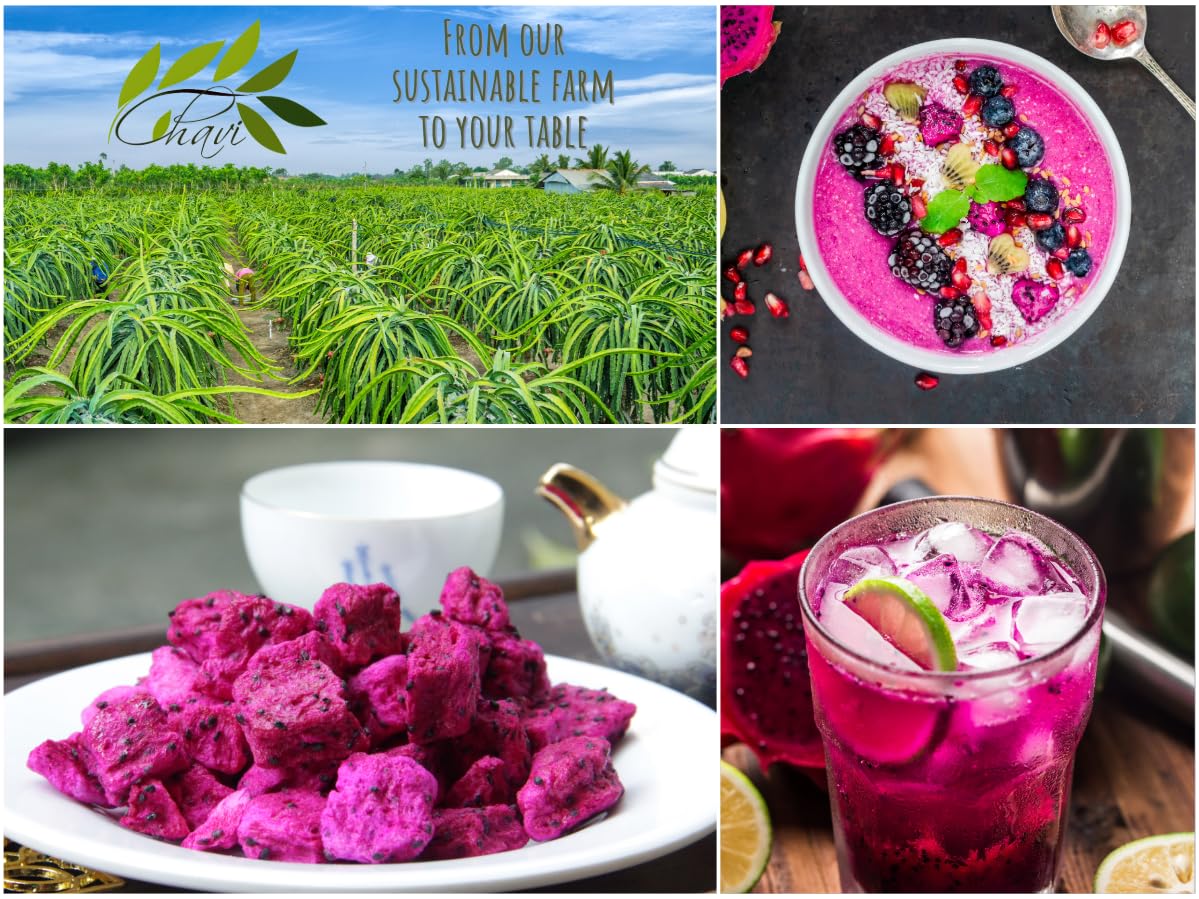 CHAVI Freeze-Dried Diced Dragon Fruit Snack - 2 Oz - Healthy 1 Ingredient Superfood - No Added Sugars or Preservatives - Non-GMO, Vegan, Gluten-Free…