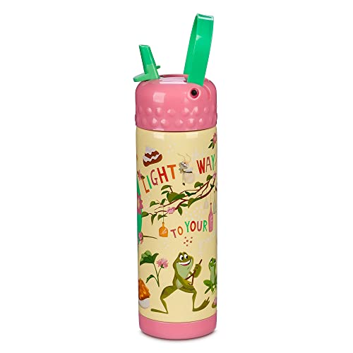 Disney Princess and the Frog Stainless Steel Water Bottle with Built-In Straw