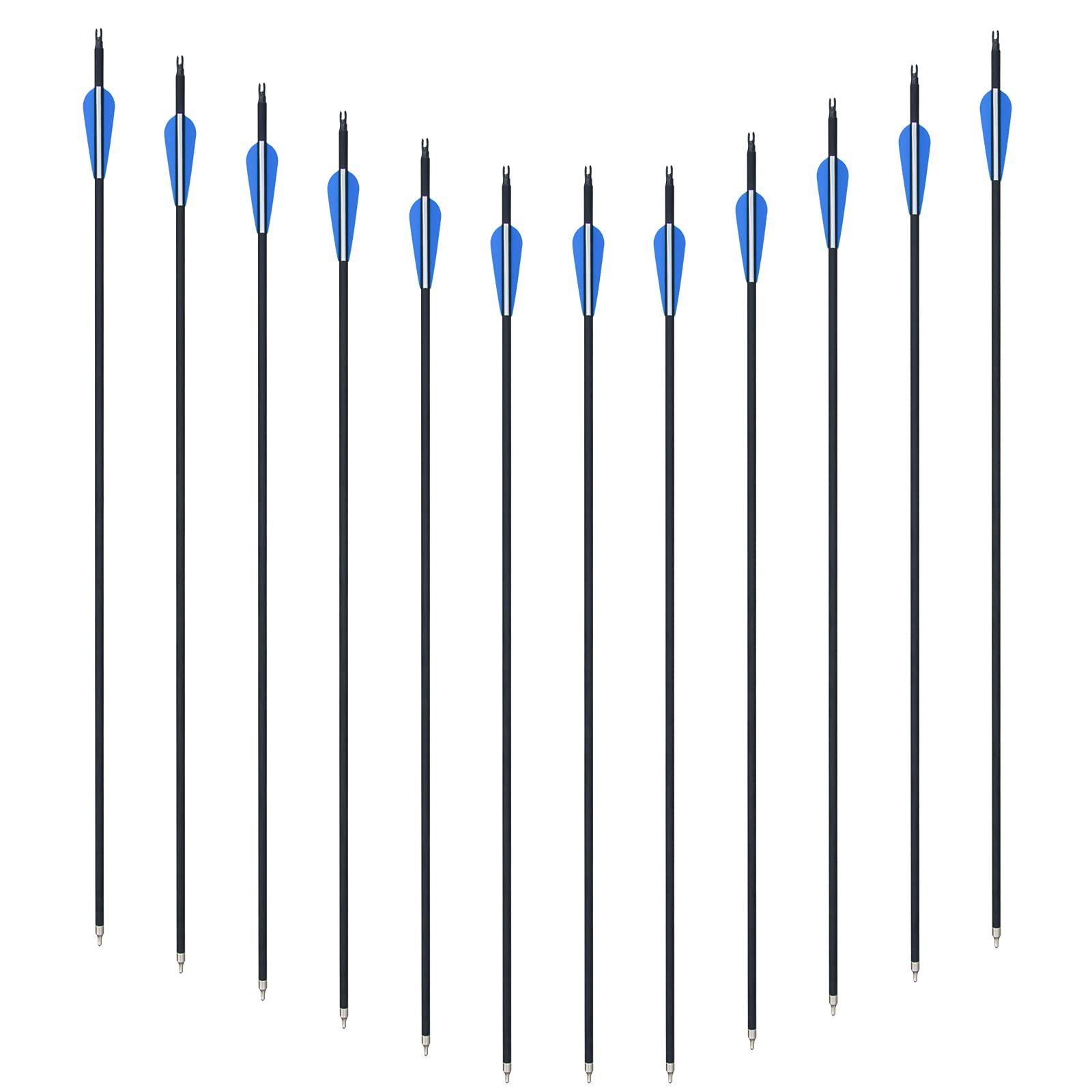 D&Q Carbon Arrow Hunting Arrows, with 100 Grain Removable Tips Target Practice Arrows for Archery Compound & Recurve Bow (Blue+White)