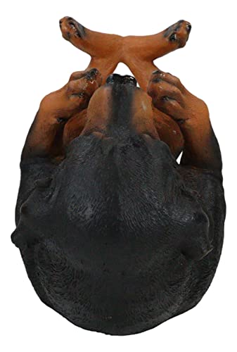 Ebros Lifelike Purebreed Pedigree Canine Adorable Rottweiler Butcher's Dog Wine Bottle Holder Figurine Statue As Kitchen Wine Cellar Centerpiece Decor Storage Organizer (Rottweiler)