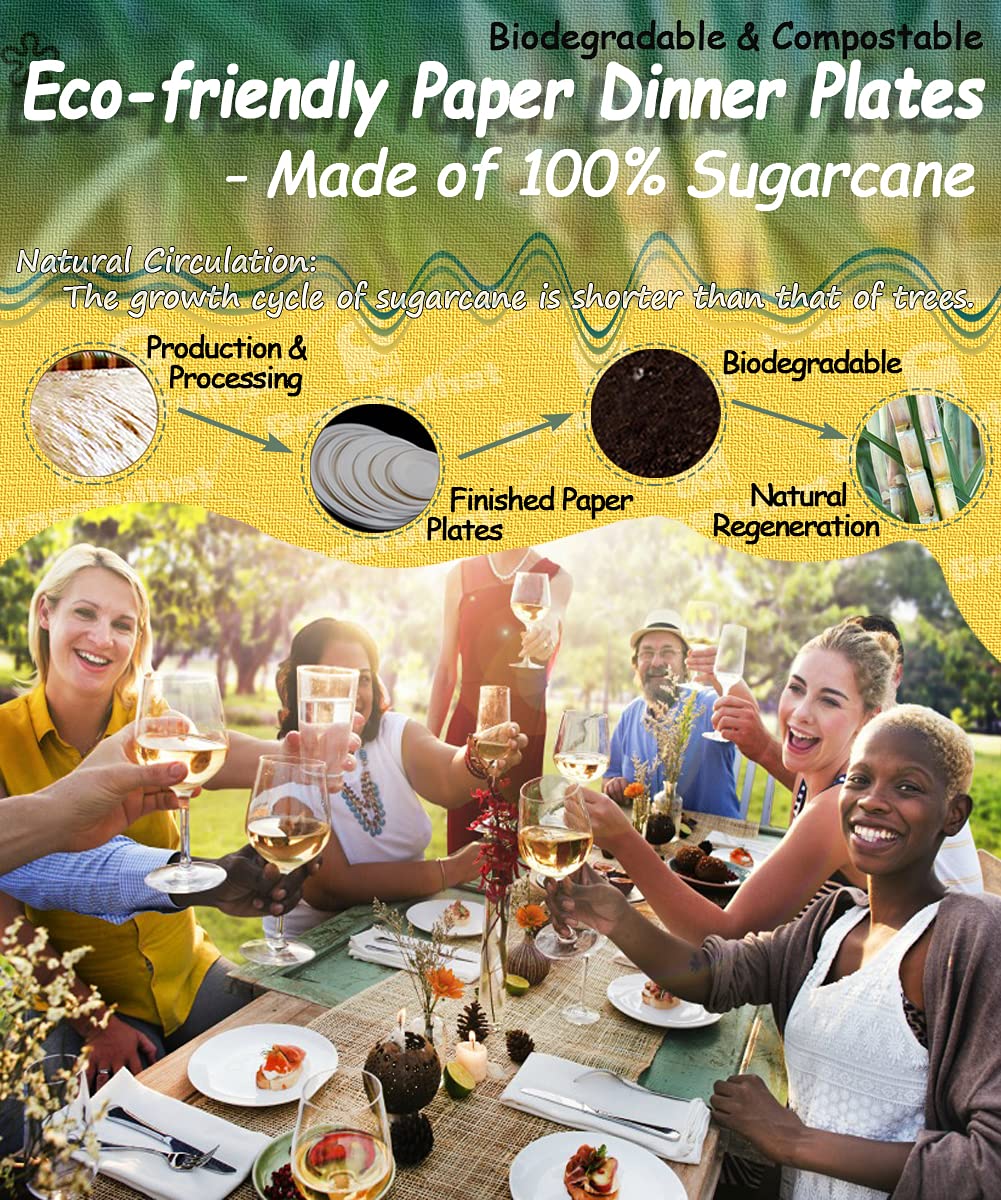 Chinette Paper Plates Dinner for 50 Guests | 7 inch Paper Plates & 50 Pcs 9 inch Disposable Plates | Total: 100 Pcs | White | Uncoated | Biodegradable | Compostable | Chinet paper plates dinner