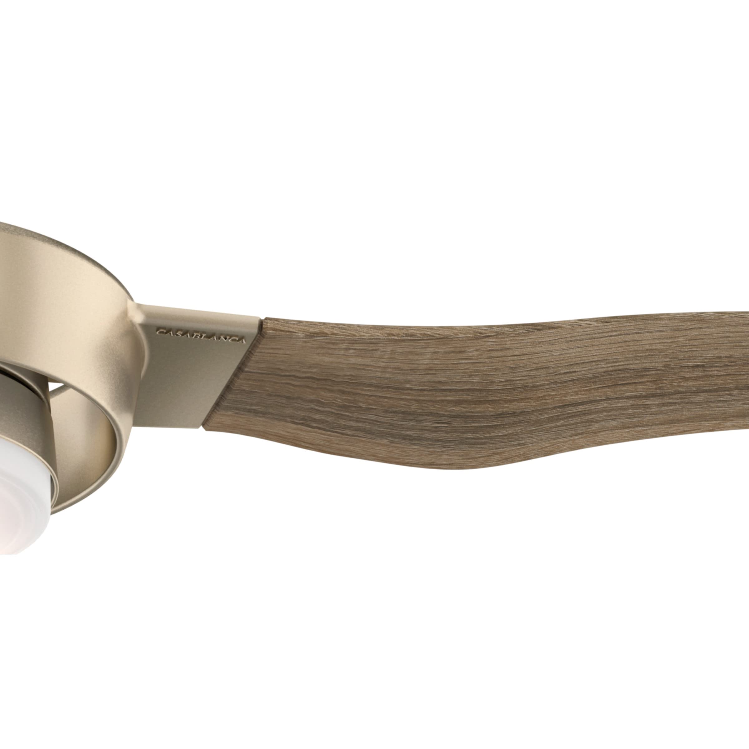 Casablanca Perseus Indoor/Outdoor Ceiling Fan with LED Light and Wall Control