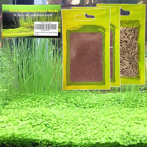 Live Aquarium Plant Seeeds Combo,Fresh Water Grass Mini Leaf & Hair Grass Small Pearl Leaf for Fish Tank Terrarium Aquatic Dwarf Carpet Decor AAB