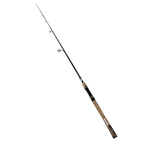 Daiwa 0001-4643 Acin701Mlxs Aird Coastal Rod