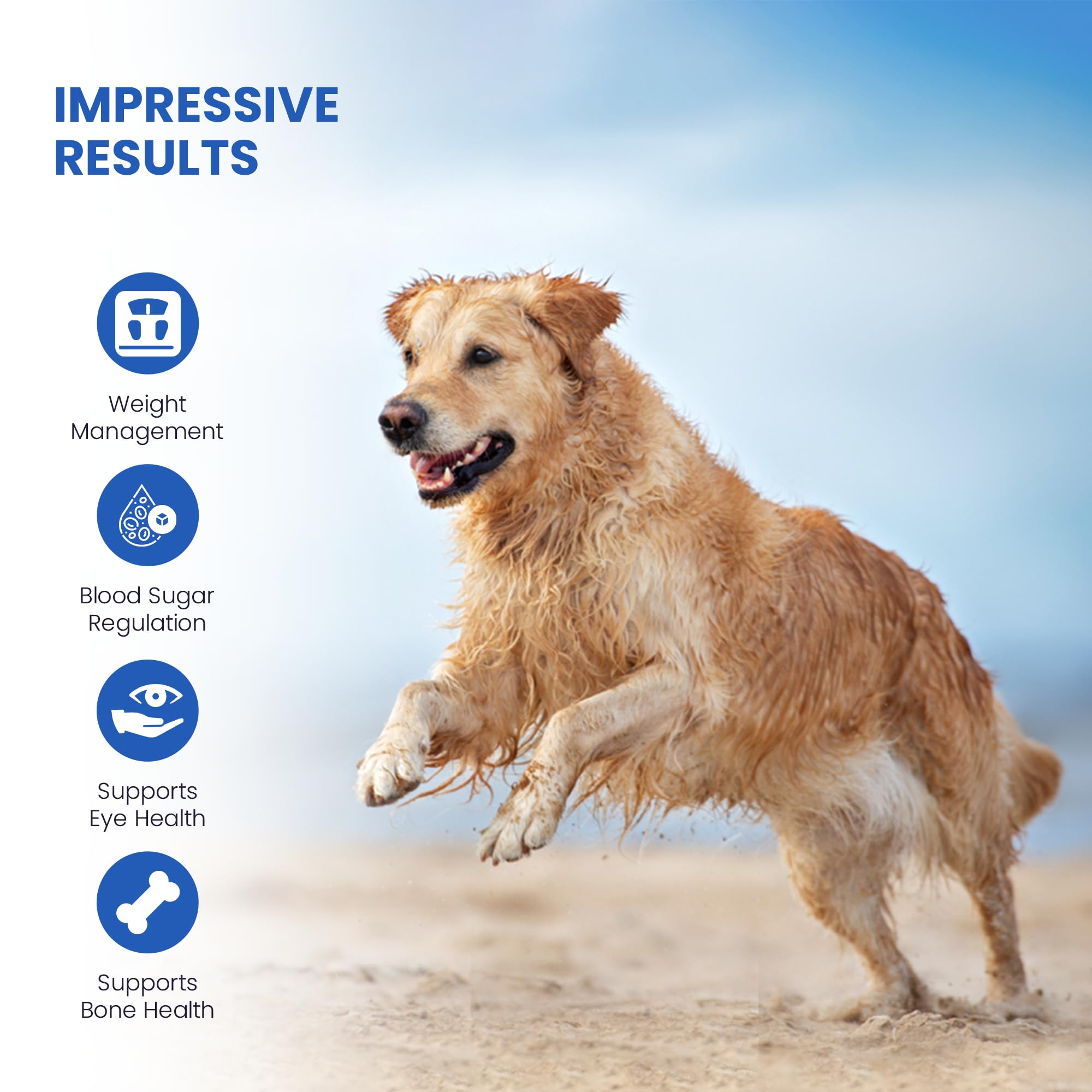 Mr. Ros Marine Phytoplankton: Supercharge Your Dog's Health (2.12 oz / 60 g). Essential Nutrients for Shiny Coat, Strong Joints & Overall Wellbeing