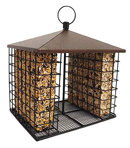 Songbird Treats Seed Bars | 8 Pack of 2 lb Bird Seed Cakes for Wild Birds (Wild Bird Buffet)