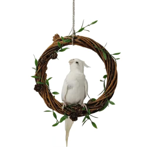 Round Bird Swing, Natural Willow Branch Chewing Bird Toys, Hanging Climbing Cage Parrot Perch Play Stands for Small Parrots Lovebirds Conures Parakeets (Large)