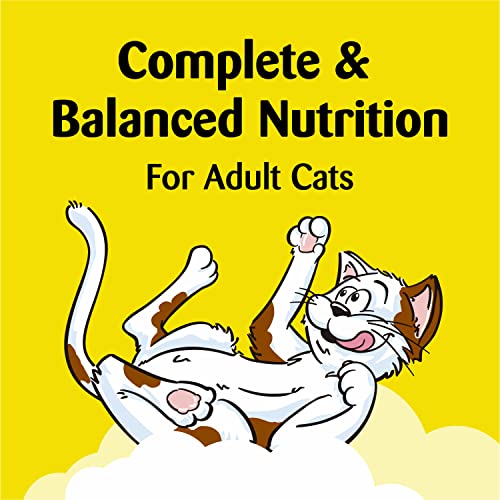 TEMPTATIONS Classic Treats for Cats Blissful Catnip Flavor 3 Ounces (Pack of 12)