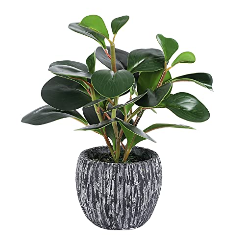 LORYDECO Artificial Potted Plants, Real Looking Fiddle Leaf Fake Plant with Pot, Plastic Watercress Leaves Small Faux Trees with Cement Planter, Greenery Plant Table Decor for Home Indoor