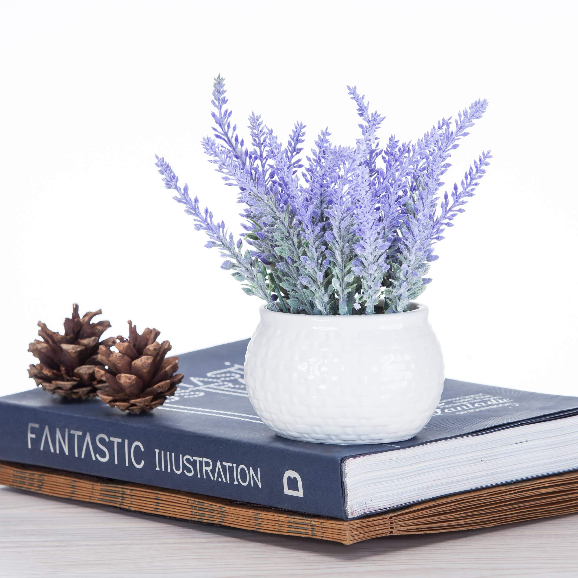 chuangxindaye Artificial Mini Potted Flowers Plant Lavender for Home Decor Party Wedding Garden Office Patio Decoration (Ceramics 2set)