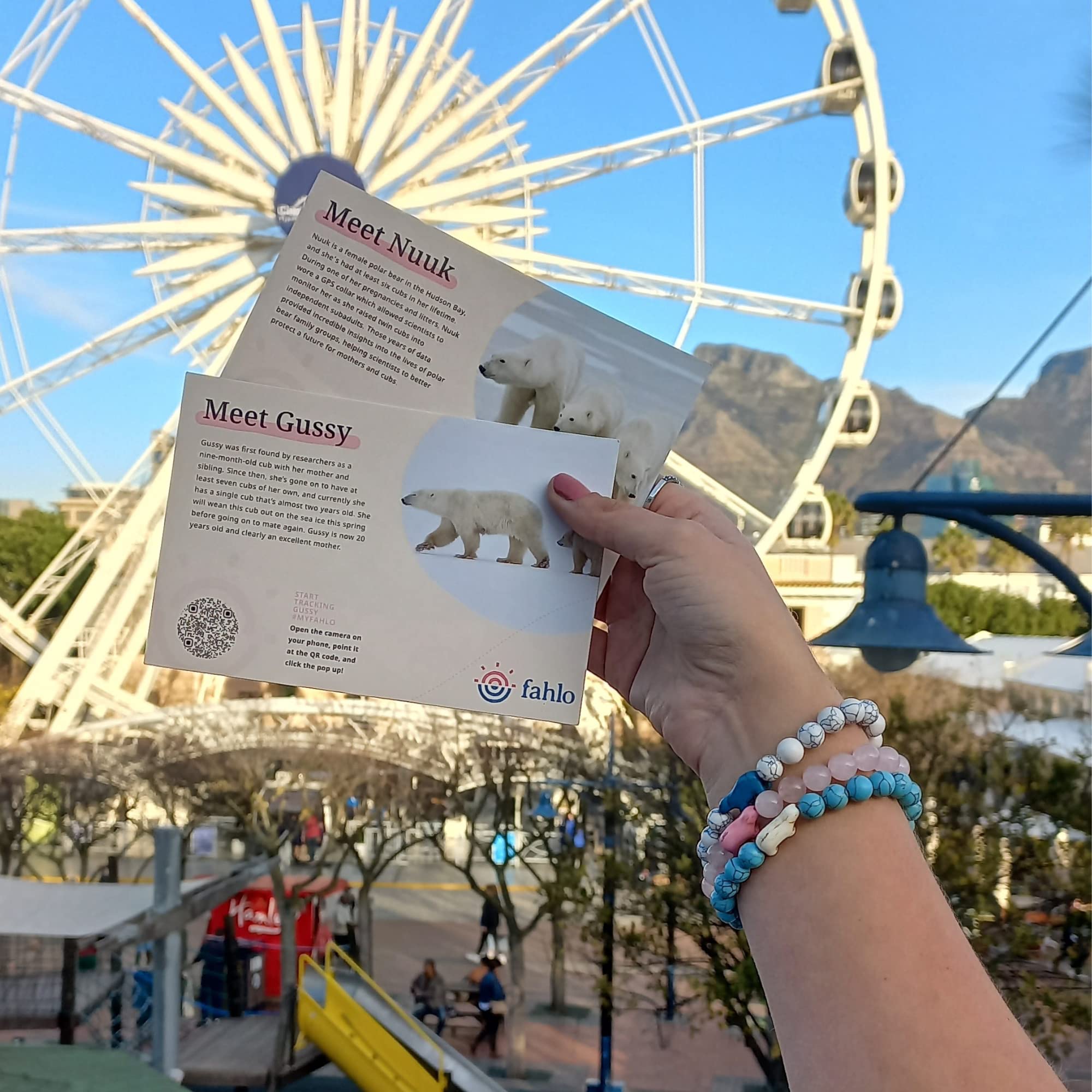 Fahlo Polar Bear Tracking Bracelet, Elastic, supports Polar Bears International, one size fits most for Men and Women