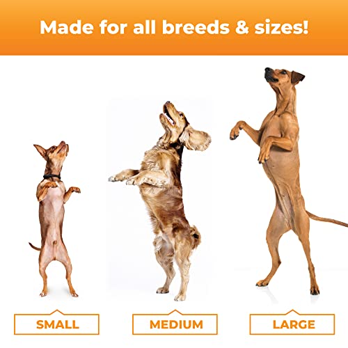 VETRISCIENCE Glycoflex 3 Clinically Proven Hip And Joint Supplement With Glucosamine For Dogs, 120 Chews - Vet Recommended Mobility Support Supplement With DMG, MSM, And Perna