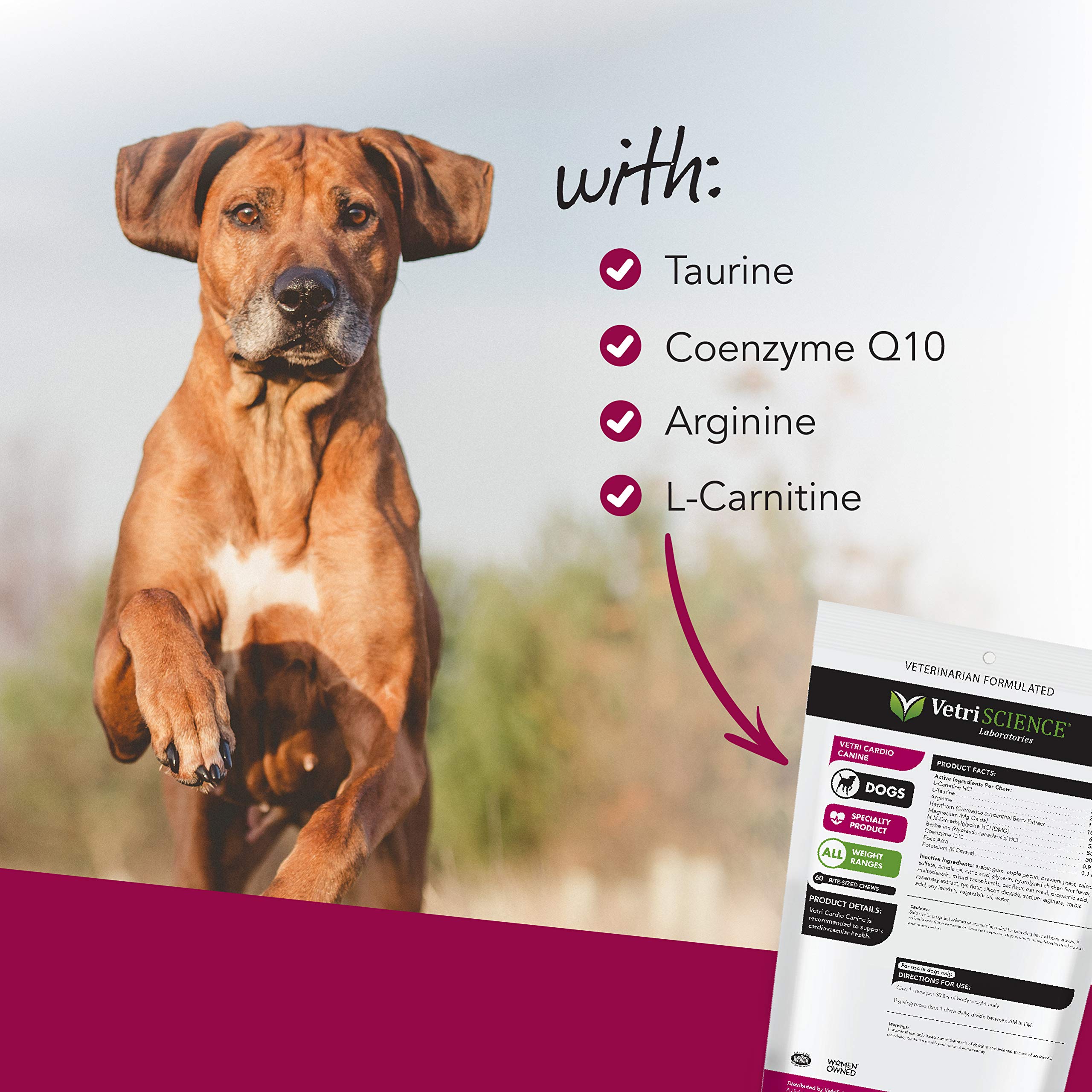 VETRISCIENCE Vetri Cardio Canine Complete Cardiovascular Support for Dogs with CoQ10, Taurine and Arginine, 60 Chews