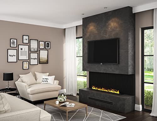 Dimplex Opti-myst 40" Pro 1000 Built-in Electric Cassette (Model: CDFI1000-PRO), 4981 BTU, 120 Volt, 1460 Watt, Black