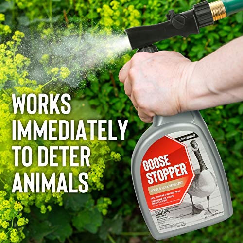 Goose Stopper Repellent - Safe & Effective, All Natural Food Grade Ingredients; Repels Geese and Ducks; Easy to Use Hose End, 32 oz. Liquid Concentrate