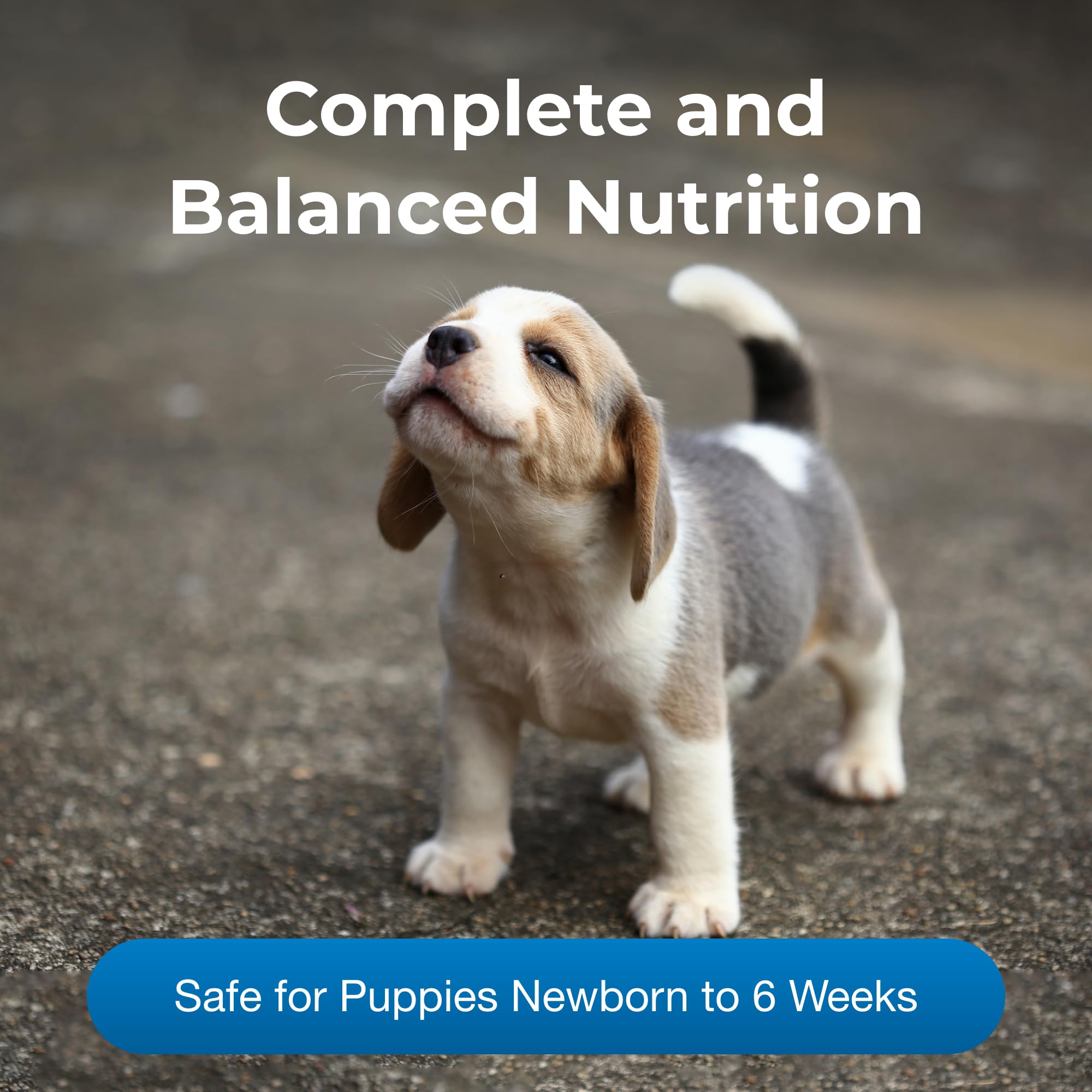 Pet-Ag PetLac Liquid for Puppies - 32 oz - Ready-to-Feed Milk Replacement for Puppies Newborn to Six Weeks Old - Easy to Digest