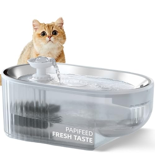 Premium Cat Water Fountain - 304 Stainless Steel Tray, Ultra-Quiet 5V Pump, Emergency Water Storage, 360 Degree Transparent Water Tank with Water Level Indicator, 84oz/2.5L, Oval Design, LED Light