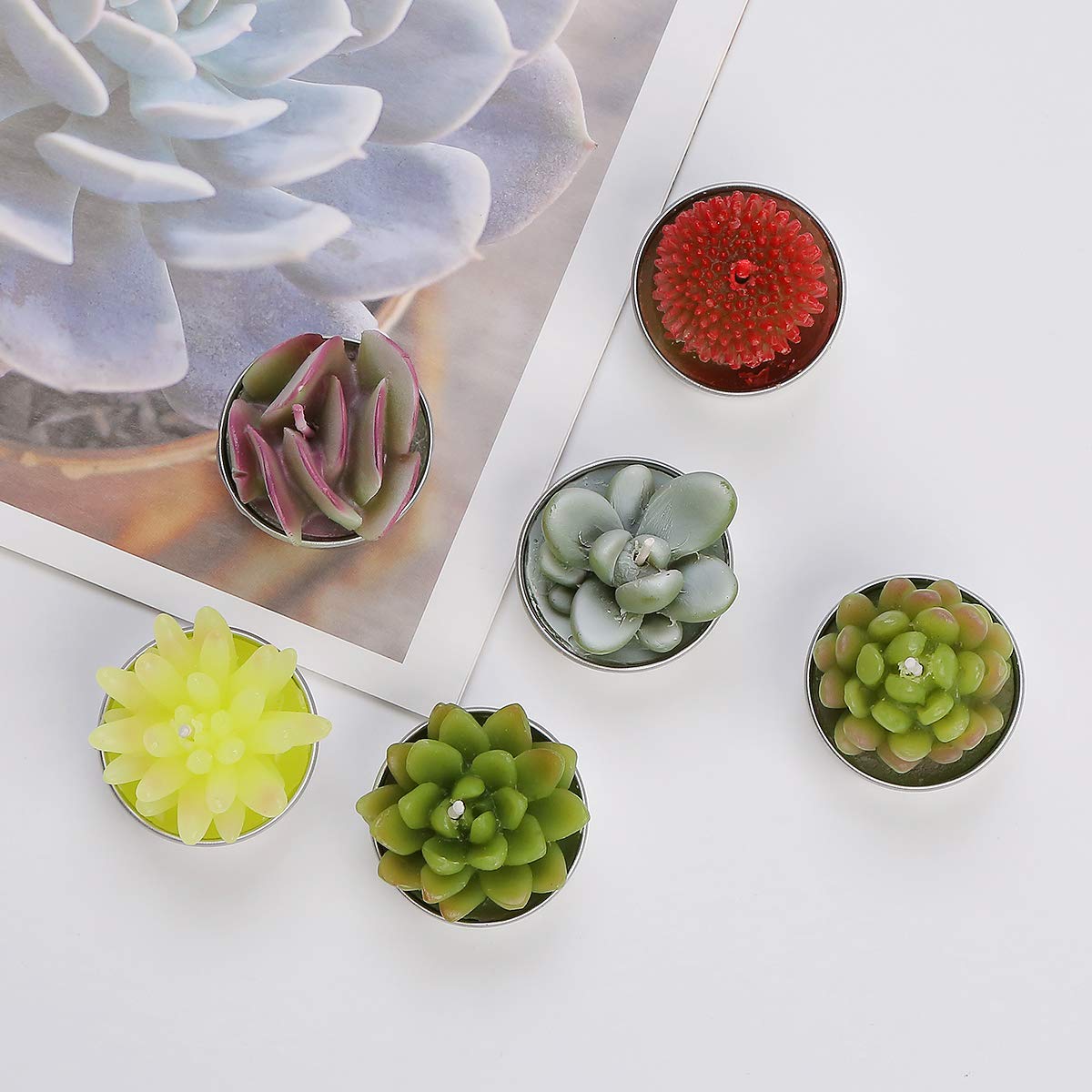 LJQizn 6pcs Cactus Tealight Candles Handmade Delicate Succulent Cactus Candles Tea Lights Perfect for Birthday Party Wedding Spa Home Decor Gifts (6pcs Cactus Candles)