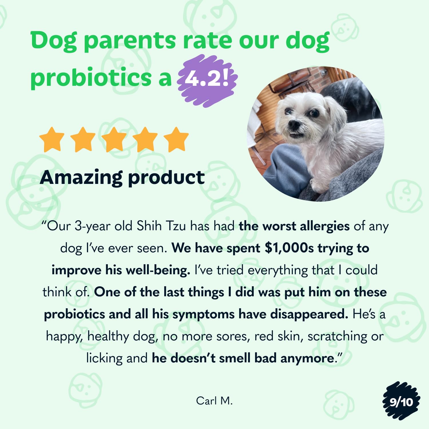 Minimal Ingredient Dog Probiotic to Alleviate Allergies, Infections, ‘n’ Digestive Issues
