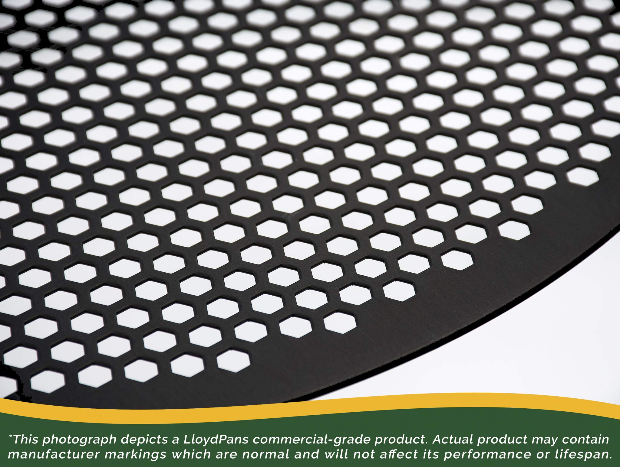 LloydPans Hex Disk, Pre-Seasoned PSTK (1, 14 inch)