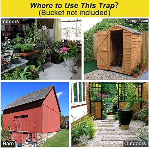 Mouse Trap Bucket, Bucket Lid Mouse Trap, 5 Gallon Bucket Compatible, Humane or Lethal, Trap Door Style, Multi Catch, Auto Reset, Indoor Outdoor, No See Kill (Wine)