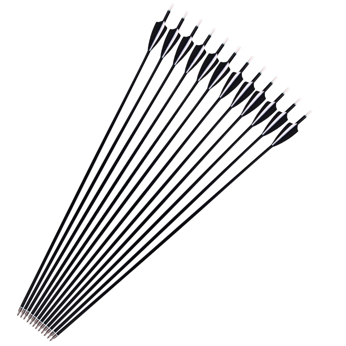CUPID 7.6mm 31" Aluminum Arrows Target Practice Hunting Arrows Spine 450 with Removable Tips for Compound & Recurve Bow(Pack of 12) (Black)