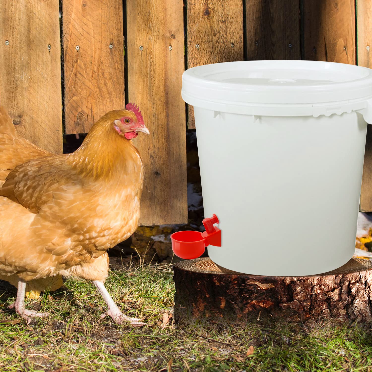 Chicken Feeder, Automatic Chicken Feeder and Waterer Set No Waste Rain Proof DIY Poultry Feeder with Rat Stopper Caps Chicken Water Feeder for Buckets, Barrels, Bins, Troughs 4Packs