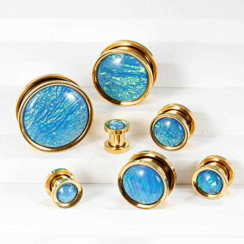 COOEAR 1 Pair Stainless Steel Ear Gauges Screw Back Tunnels Fake Shell Logo Plugs Earrings Size 2g to 1 inch.