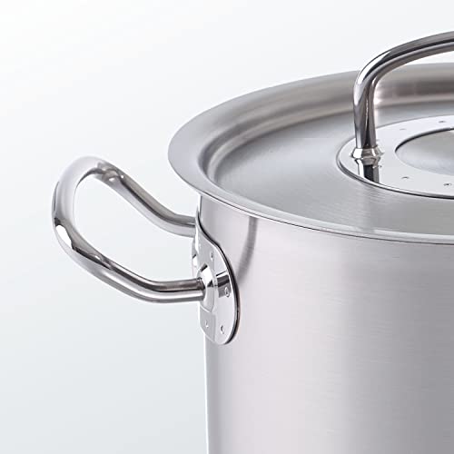 Fissler Original-Profi Collection 2019 Stainless Steel Round Roaster with Lid, 5.1 Quart