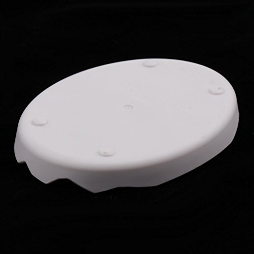 SGerste Shallow Reptile Amphibians Food and Water Dish Small Pets Corner Feeding Bowl for Mini Pets Reptile Turtle Tortoise Lizard Spider Scorpion - Small Eggshell