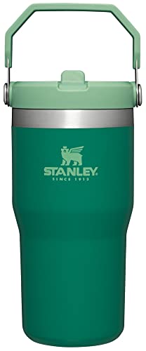 Stanley IceFlow Stainless Steel Tumbler with Straw - Vacuum Insulated Water Bottle for Home, Office or Car - Reusable Cup with Straw Leakproof Flip - Cold for 12 Hours or Iced for 2 Days (Alpine)