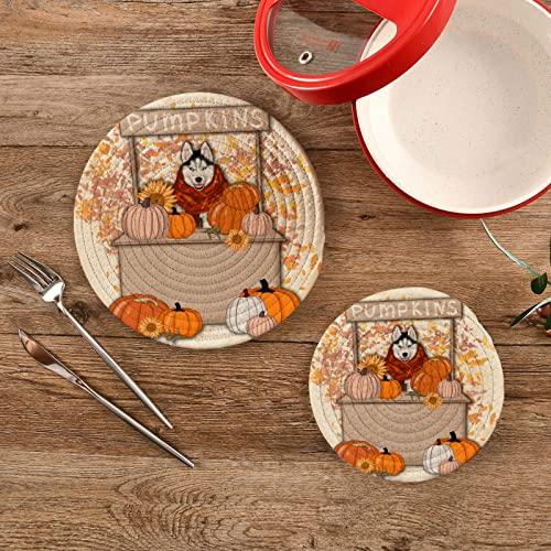 Spring Dogs Sunflower Pot Holders Trivets 2 Pcs Heat Resistant Trivets for Hot Dishes,Puppy Pumpkin Funny Cotton Thread Weave Trivet Mats for Hot Pads Pans Pot Bowl Teapot for Kitchen Decor