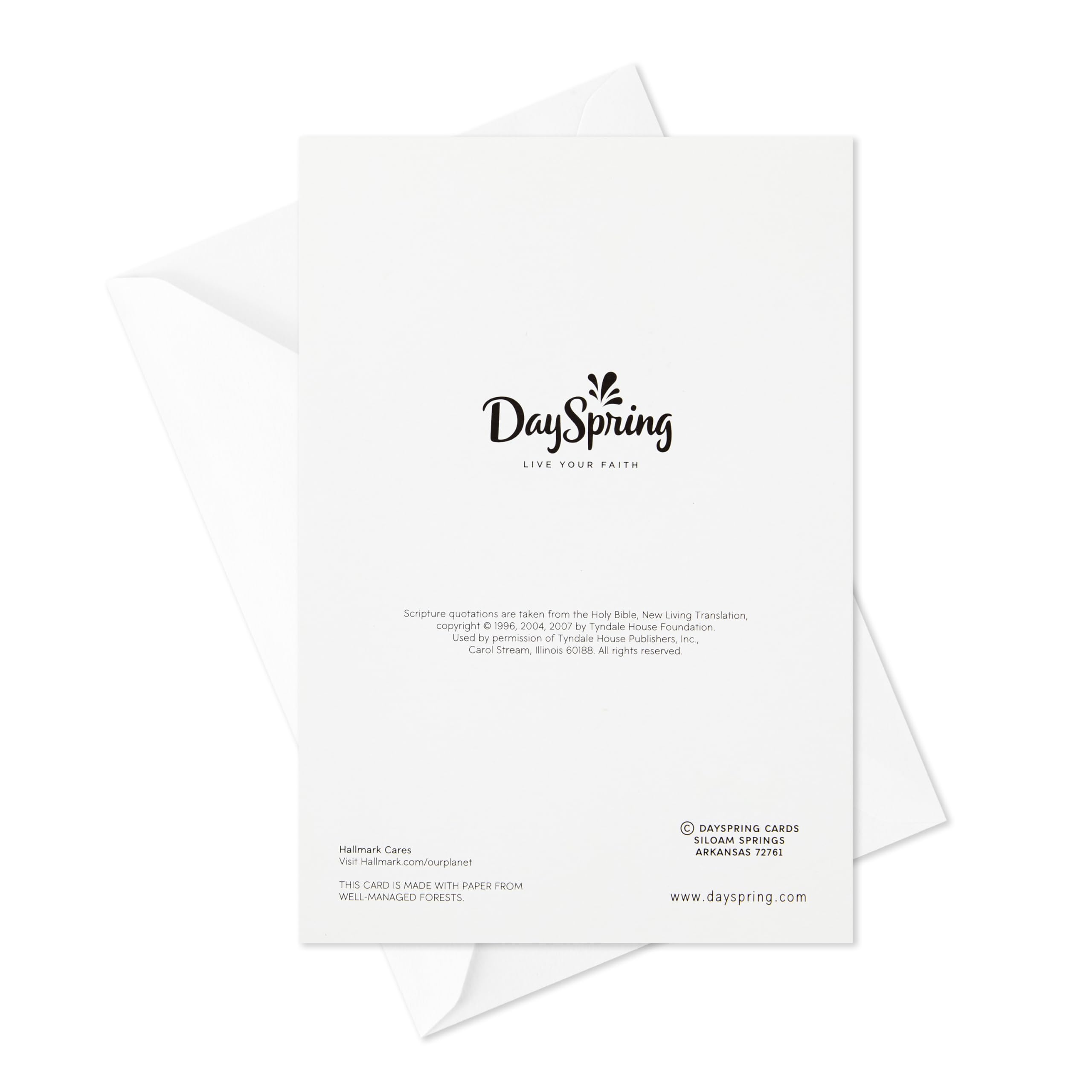 Dayspring Pack of Religious Easter Cards, Blessings at Easter (10 Cards with Envelopes)
