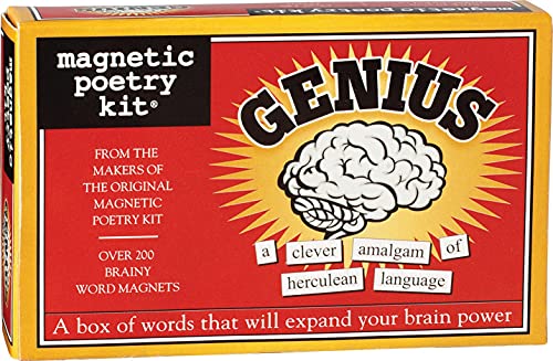 Genius-Magnetic Poetry Kit