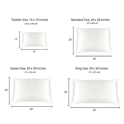 MYK Silk 25 Momme Luxury Mulberry Silk Pillowcase, Oeko-TEX Certified, Hypoallegernic, Hair and Skin Care, Curly Friendly Essentials, Beige, Standard