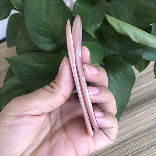 EvaGO Handmade Caviar Spoons Mother of Pearl MOP Caviar Spoon W Round Handle 3.55 inch, 2 pack
