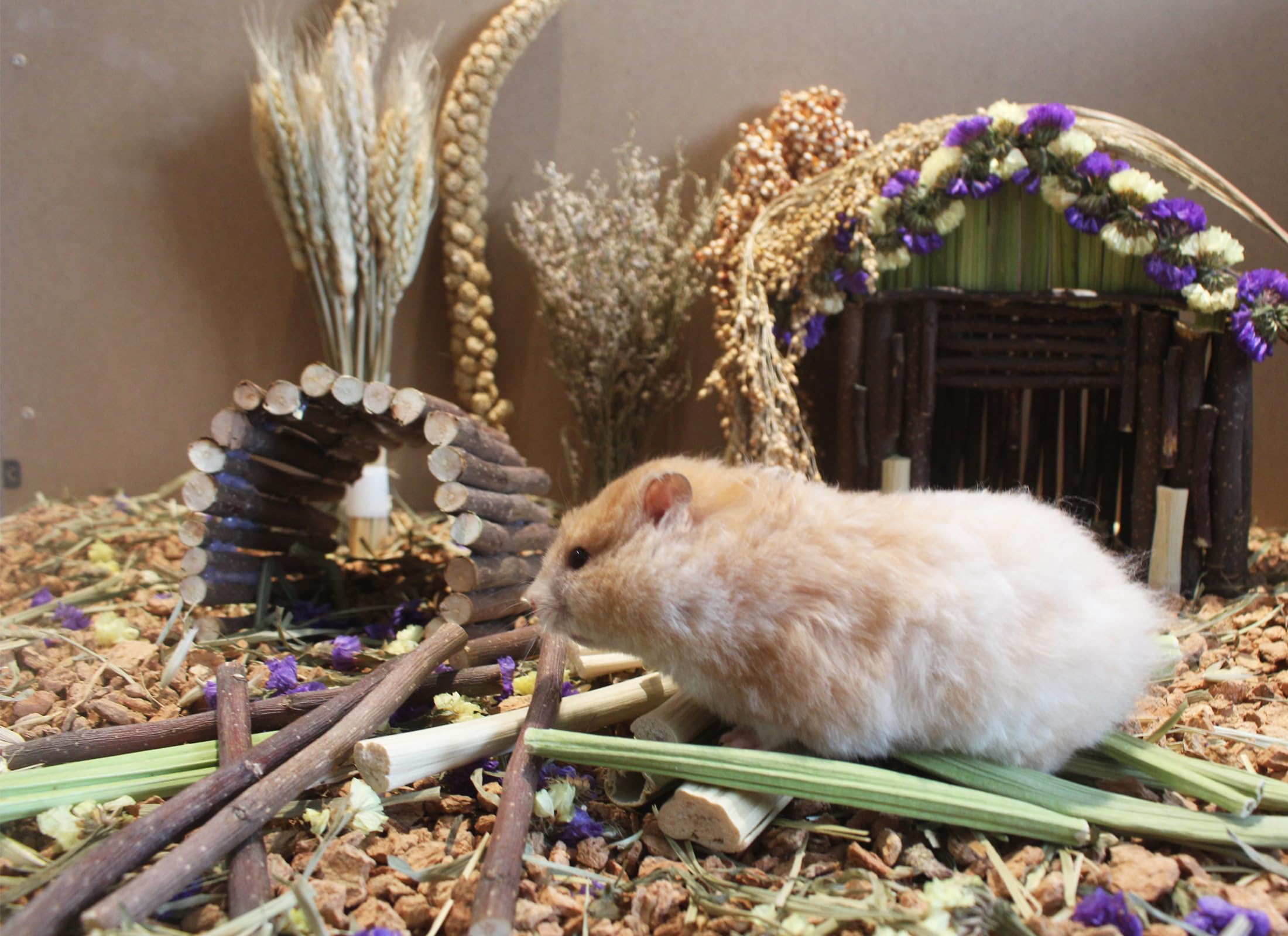 JFWOD Rabbit Natural Chew Sticks,4.6 oz Papaya Stems Bunny Chews for Rabbit Hamster Chinchilla Guinea Pig Small Animals
