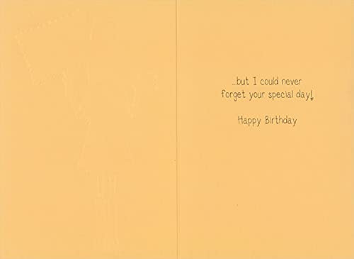 Pictura Some Days I Amaze Myself Dolly Mamas Humorous / Funny Birthday Card