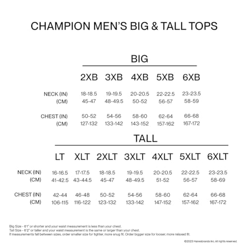 Champion T-Shirt, Sleeveless, Tank, Classic Muscle Tee Top for Men (Reg Tall), Oxford Gray Script, 4X-Large Big