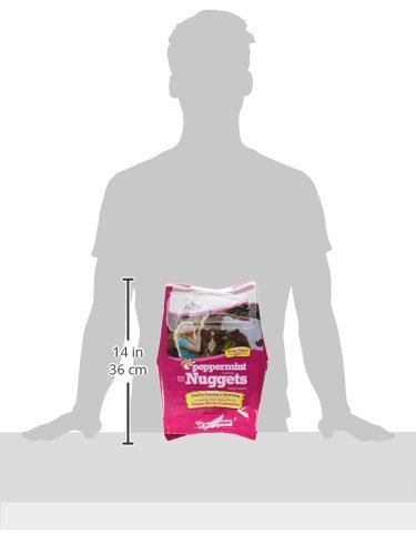 Manna Pro Bite-Size Nuggets for Horses - Pocket Sized Training Horse Treats - Peppermint Flavored Treats - Packs with Vitamins & Minerals- Great Taste Guaranteed - 4lbs