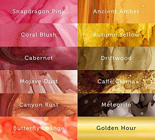 T-Rex Inks Premium Alcohol Inks Warm Earth Set- 12 Warm Tone Colors - Alcohol Ink for Epoxy Resin Dye, Painting, Tumbler Making & More - Includes Storage Box & Metallic Gold Ink - 20ml Bottles