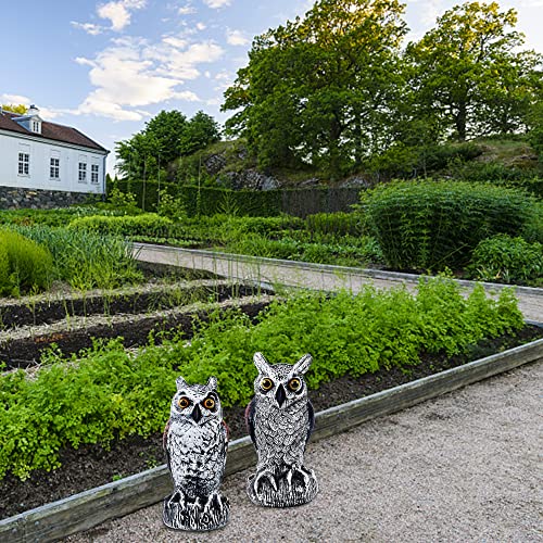 Glintoper 2 Pack Plastic Fake Owl Bird Scarecrow Horned Decoy, Bird Deterrents Scary Birds Away, Nature Enemy Pest Repellent for Outdoor Garden Yard Protectors