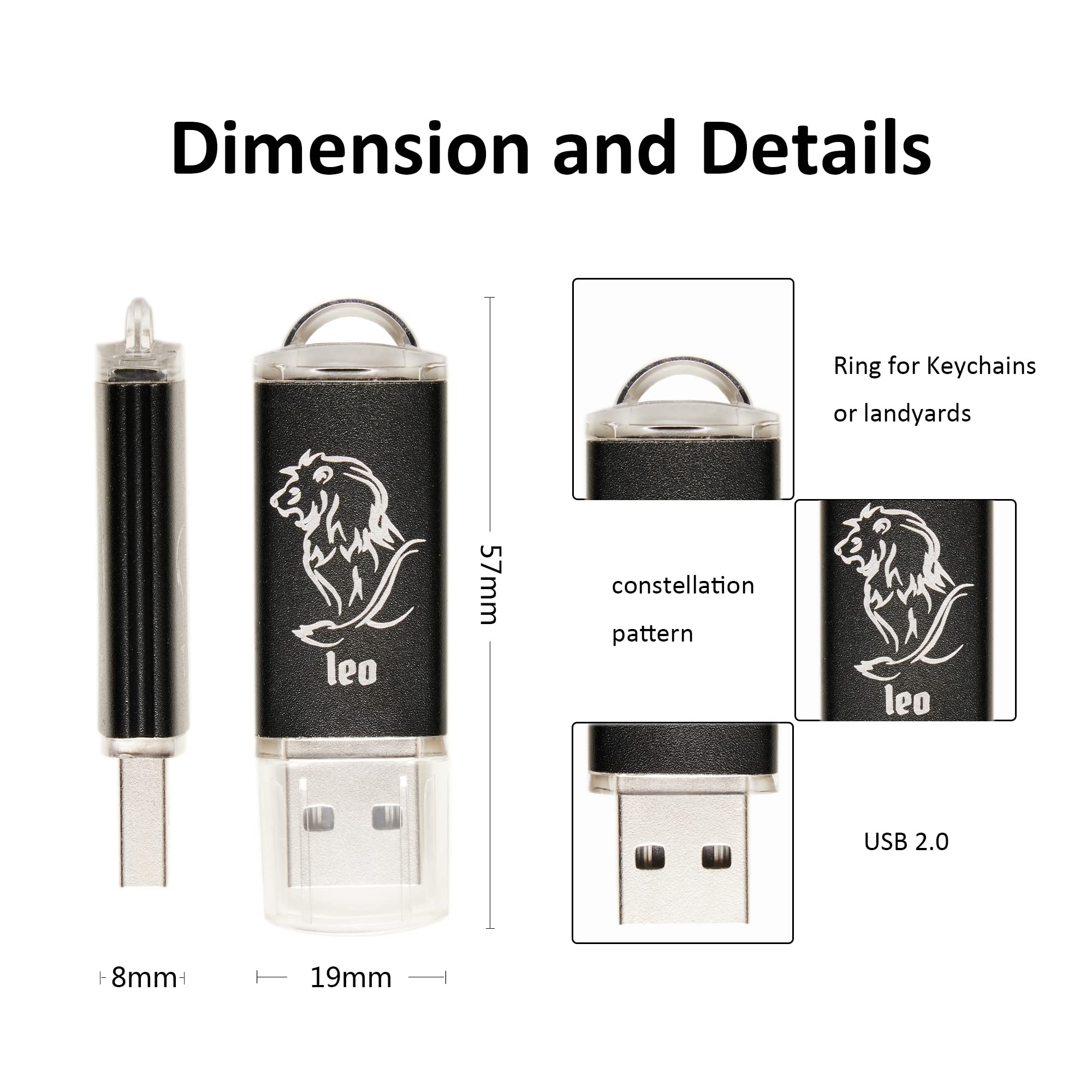 Gemini 1 Pack 8GB USB Flash Drive USB 2.0 Zodiac Pattern Constellation Charms (Gemini, 8GB)