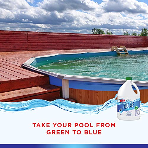 HTH 67034 Algae Guard Swimming Pool Algaecide Cleanser, 1 gal