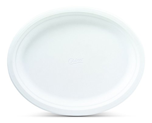 Chinet Premium Paper Platters, 12-Count Package (Pack of 12)