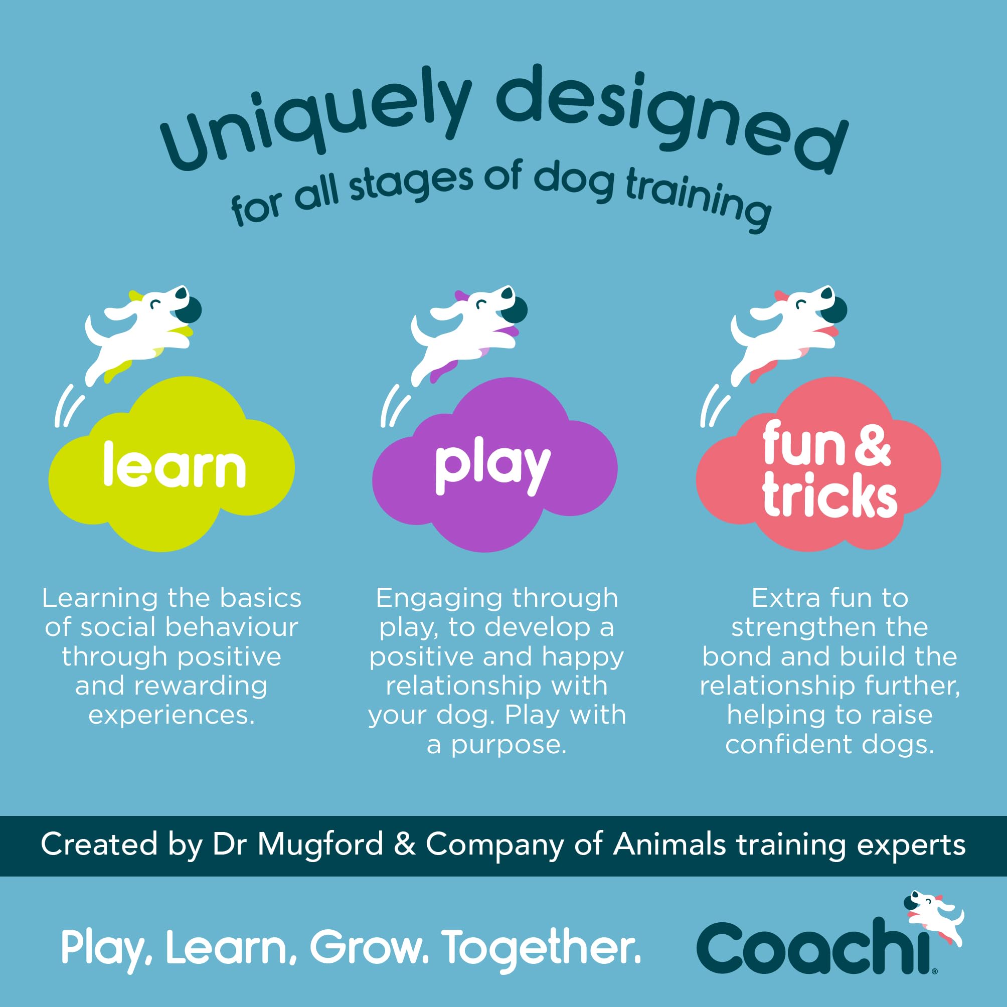 Company of Animals Target Stick for Dog Training, Perfect Dog Accessory for Clicker & Agility Training, Ideal for Puppy Training, Teaching Commands & Tricks, Easy to Use, Adjustable Length 15-70cm