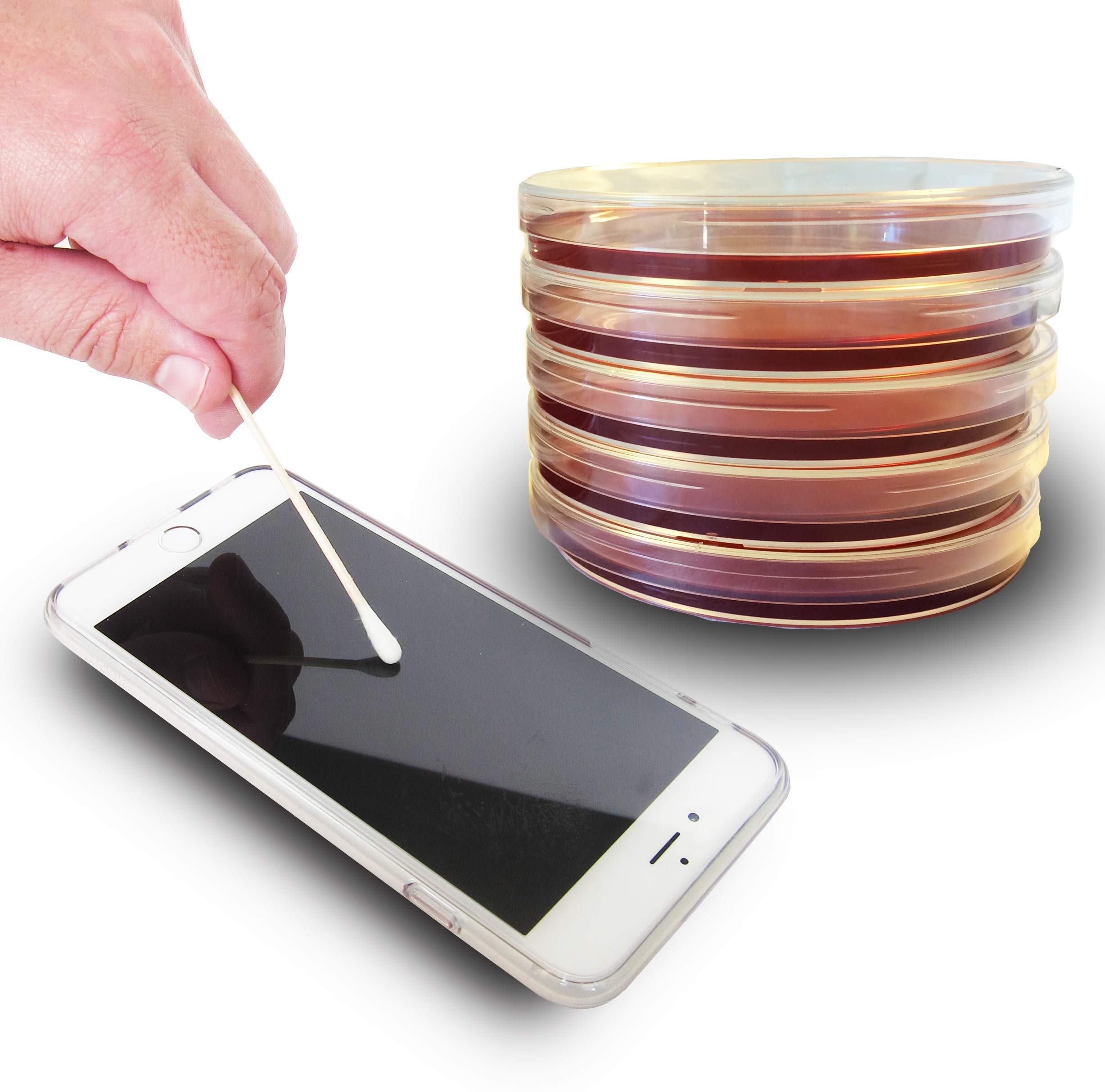 MacConkey Agar Plates - Evviva Sciences - 10 Prepoured MacConkey Agar Petri Dishes - Great for Science Fair Projects