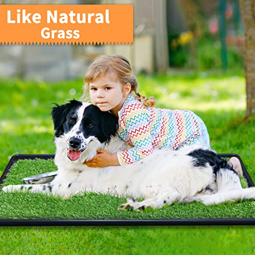 LOOBANI 35in x 23in Extra Large Grass Porch Potty Tray, 2-Pack Replacement Artificial Grass Puppy Training Pads, Quickly Absorbency Portable Dog Patio Potty for Balcony/Apartment Use