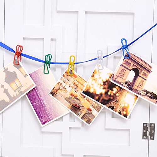 Yueton Pack of 30 Multi-Purpose Clothesline Utility Clips, Steel Wire Clips by Blovess
